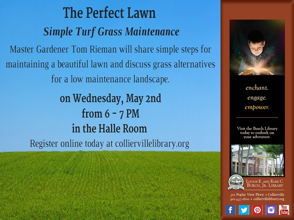 The Perfect Lawn JPEG – Tour Collierville